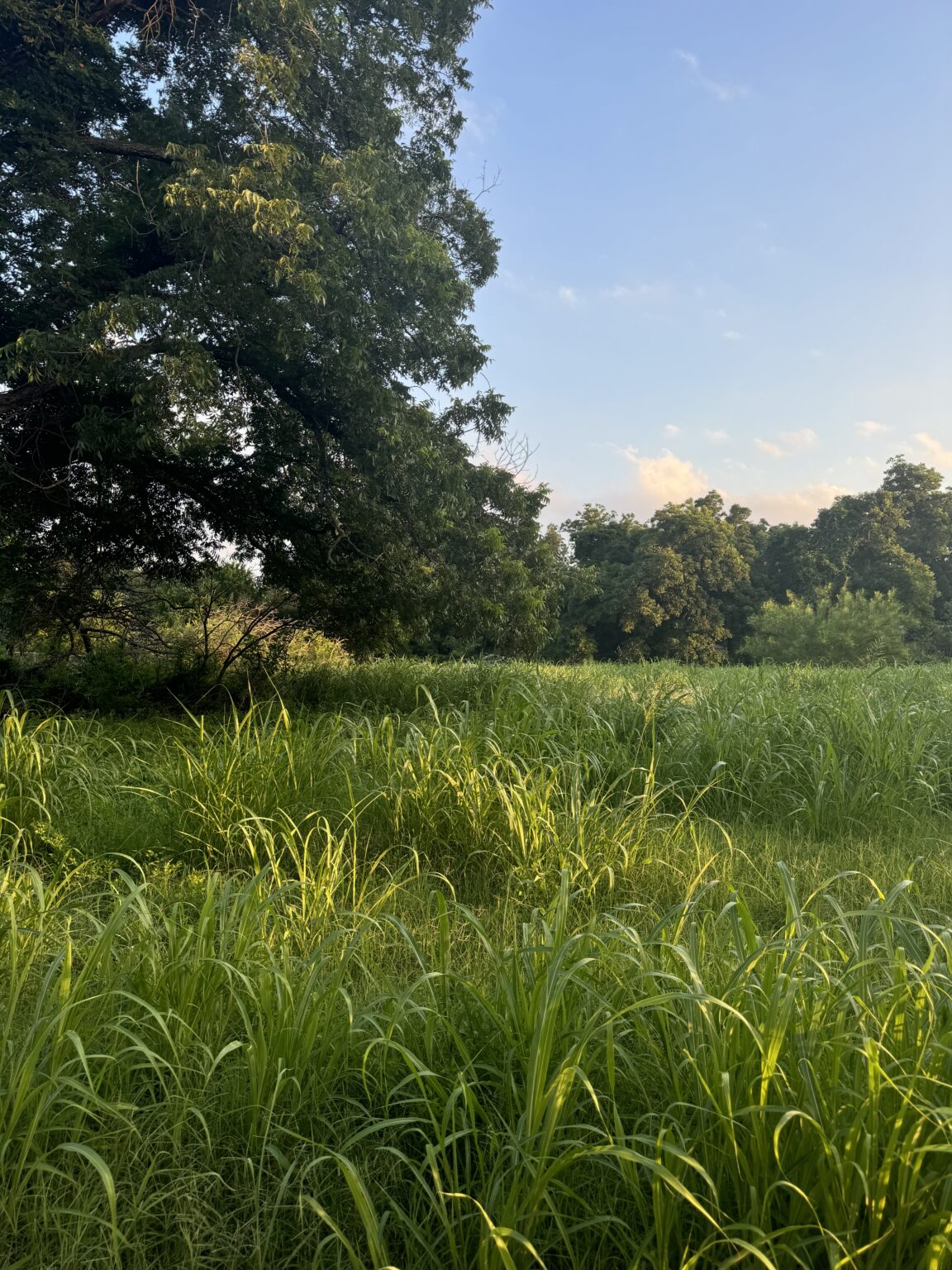 Providers | Thrive Medical